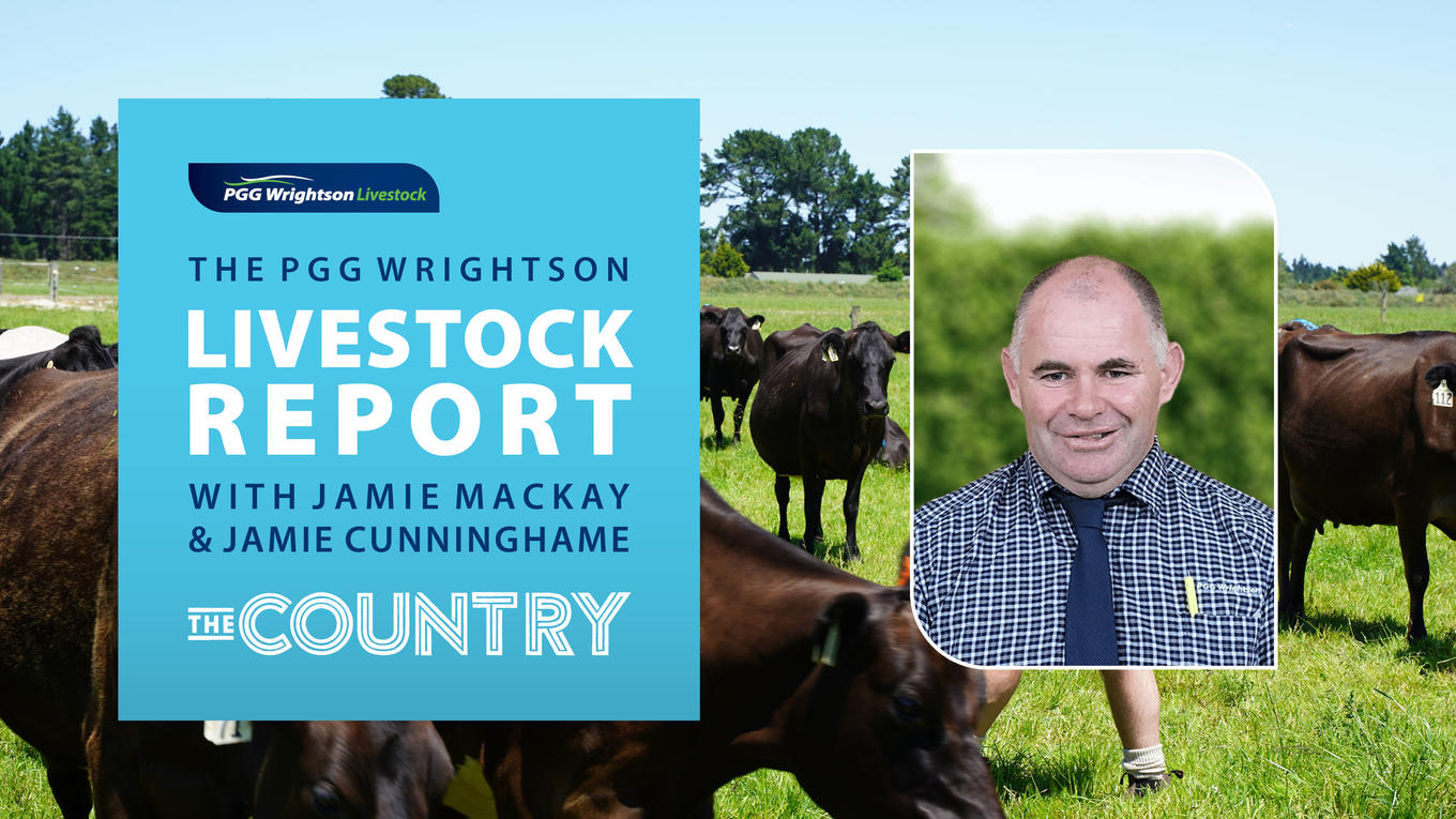 Livestock Report: A busy time for dairy farmers | PGG Wrightson
